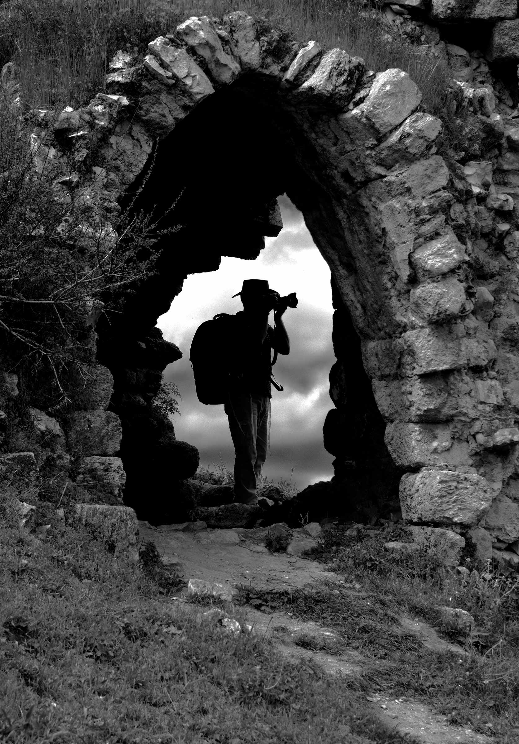 The Artist - Tal Israel